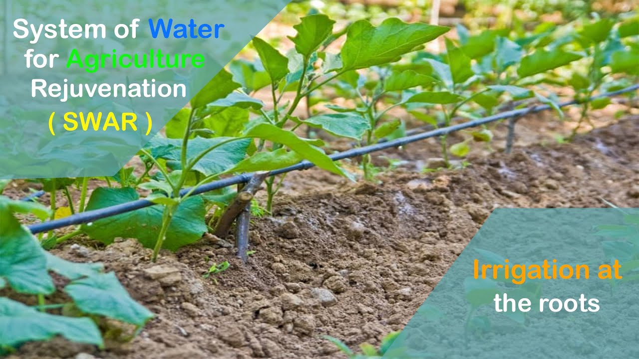 System of Water for Agriculture Rejuvenation | SWAR. - YouTube