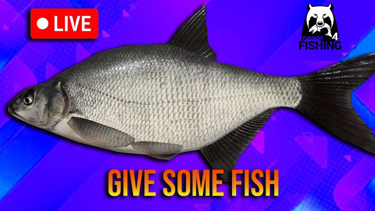 Russian Fishing 4 - Give Big Fish - What Do We Fish For? - YouTube
