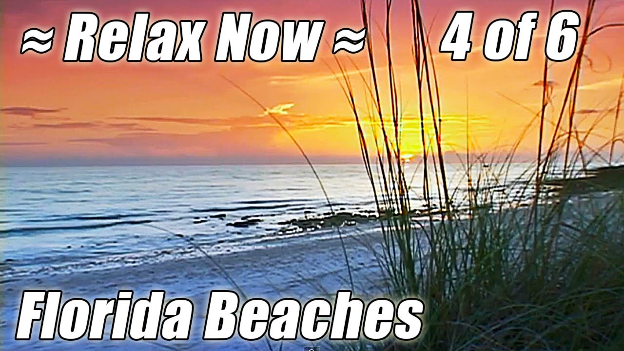 FLORIDA BEACHES #4 Ocean Sounds Relaxing Sunset Waves DVD Relax ...