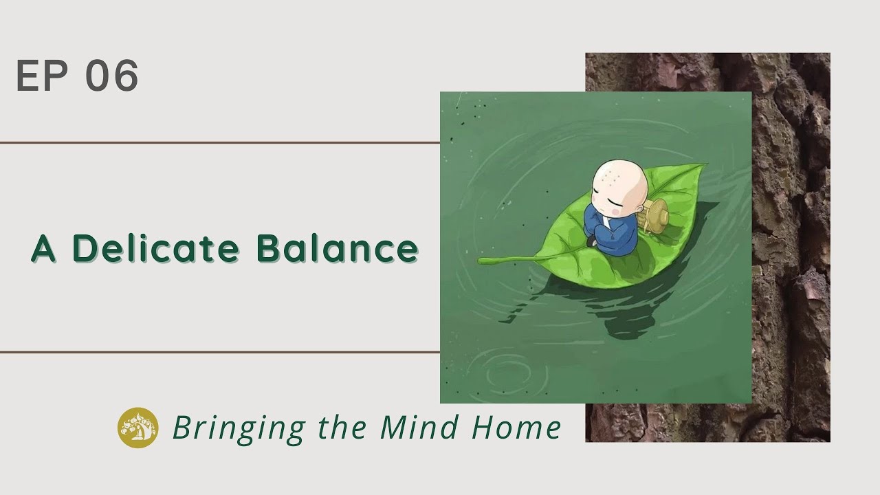 【ENG DUB】6 A Delicate Balance | 微妙的平衡 | 把心帶回家 #buddha #buddhism #dharma ...