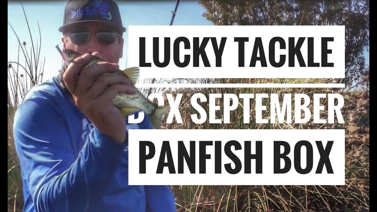 Panfish box September overview, Lucky Tackle Box! - YouTube