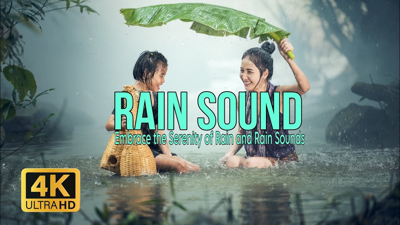 Rain Sound | Original Raining Sound | Relaxing Sound | Embrace the Serenity of Rain and Rain ...