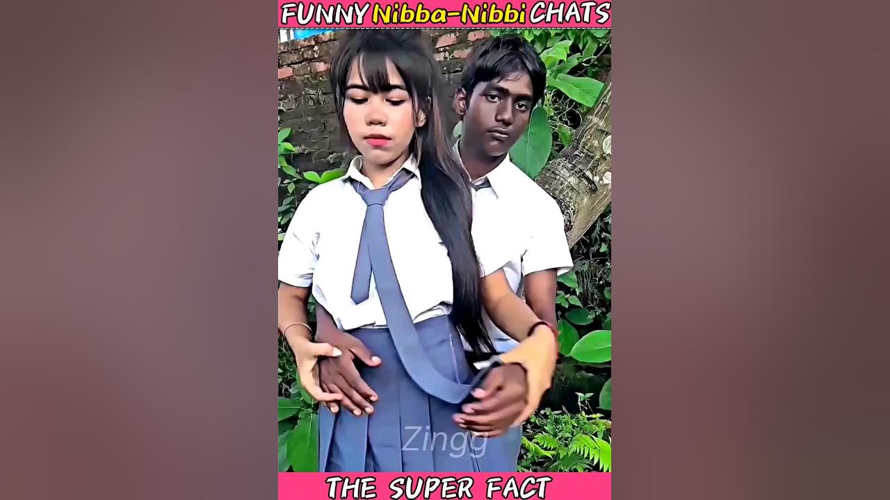 Nibba-Nibbi 😹 funny chats | most funny and chapri chats | #whatsapp #funny . - YouTube