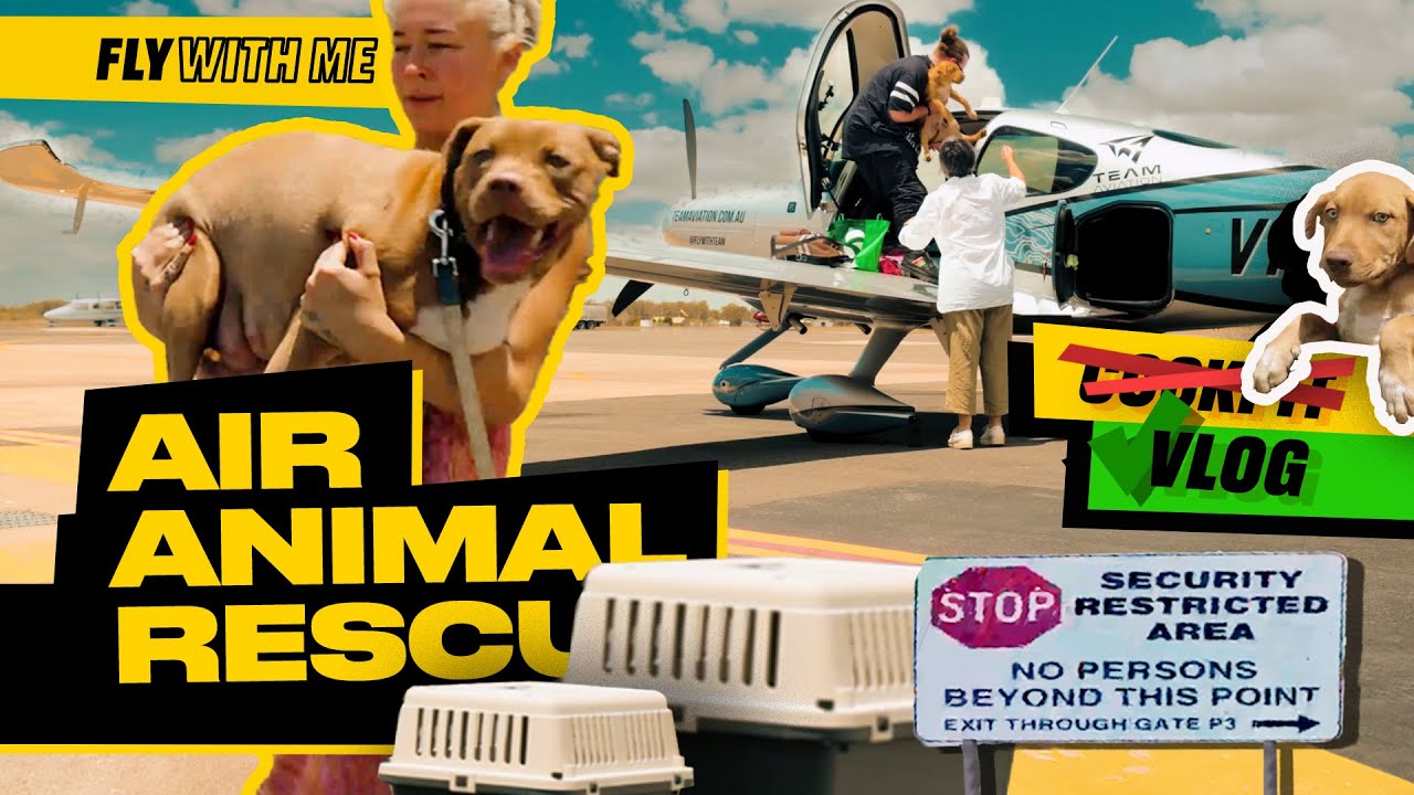 Air Animal Rescue over Australian Skies | A Pilot's Journey - YouTube