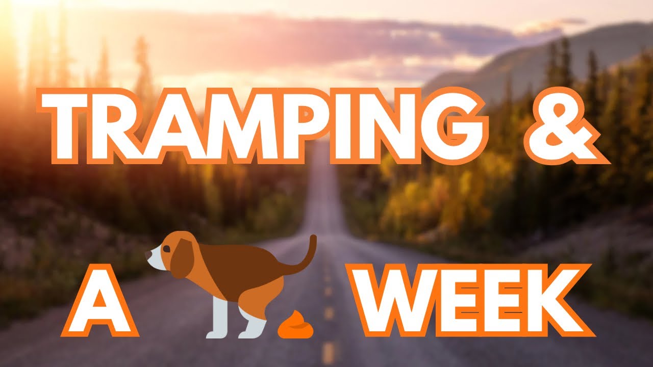 Definitely not the best week in the life 🤦🏻‍♂️ but staying motivated ...