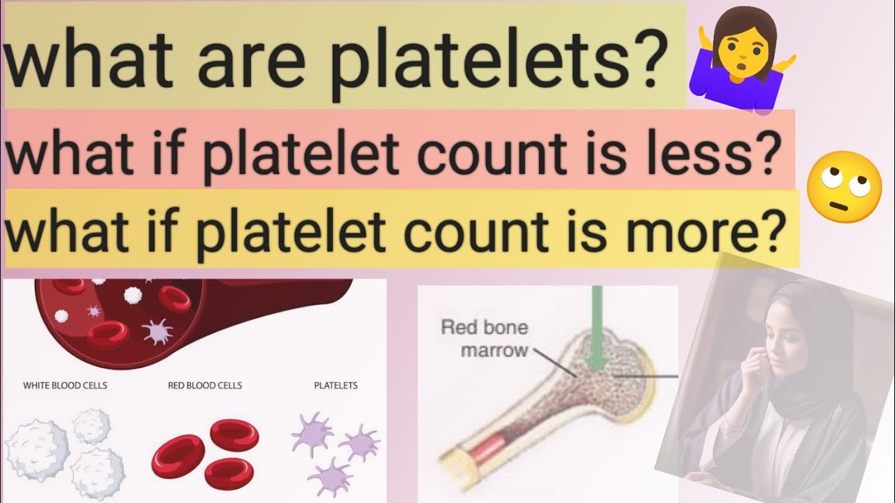 what are platelets | blood cells | normal platelet count | biology ...