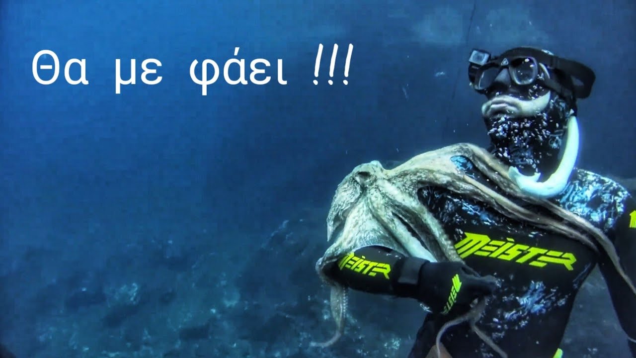 Spearfishing_elite_pro... Great catch octopus.... #2023 ΧΤΑΠΟΔΟΜΕΡΑ ...