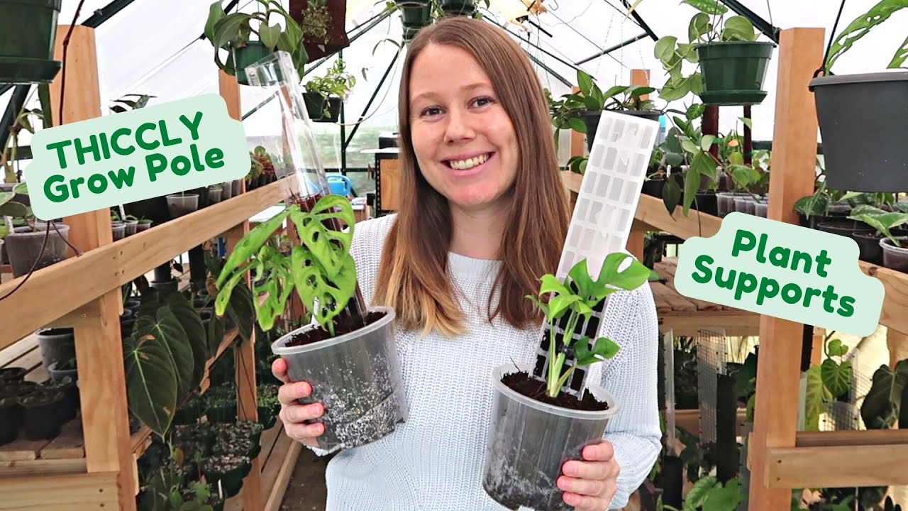 THICCLY Grow Poles 🌱 What Are They? Benefits + How To Use! - YouTube