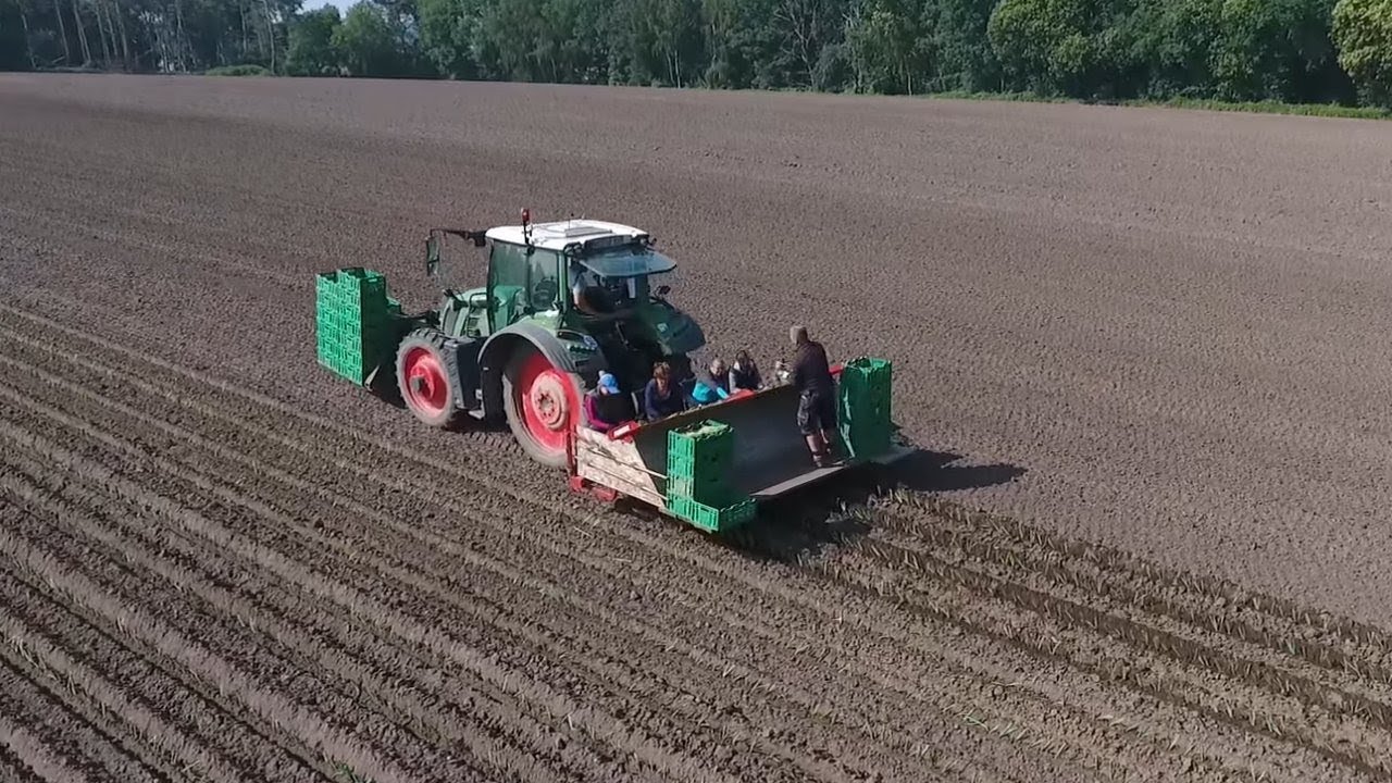 Prei planten met Fendt Vario 516 Trekkerweb - YouTube