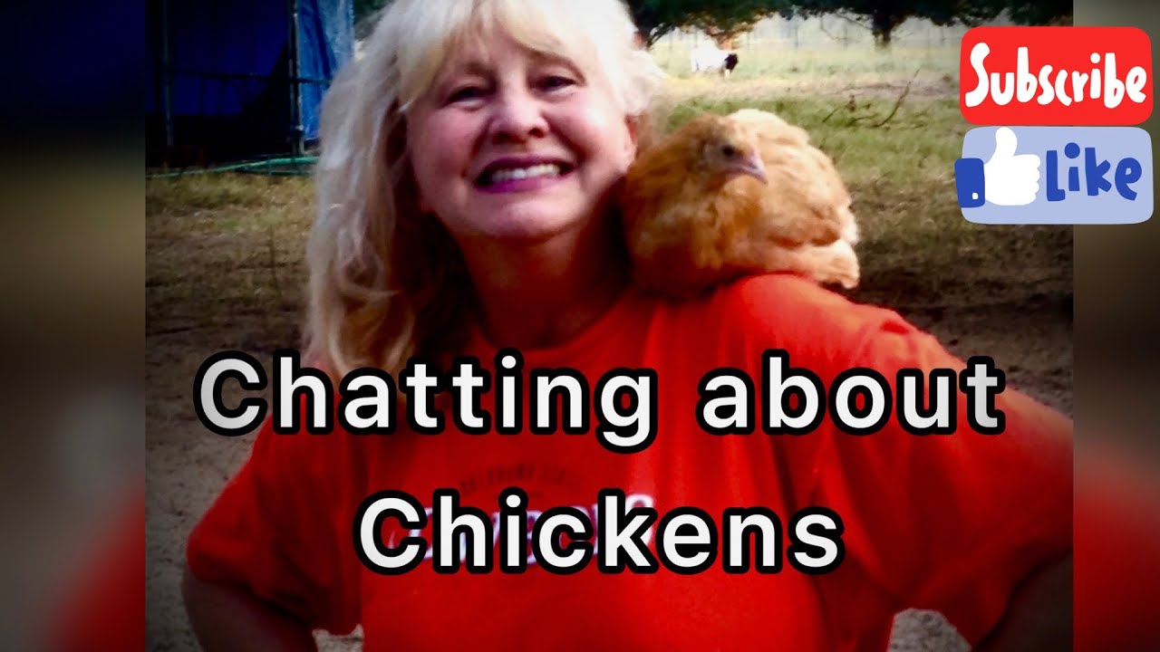 CHICKEN chatting about breeds - YouTube