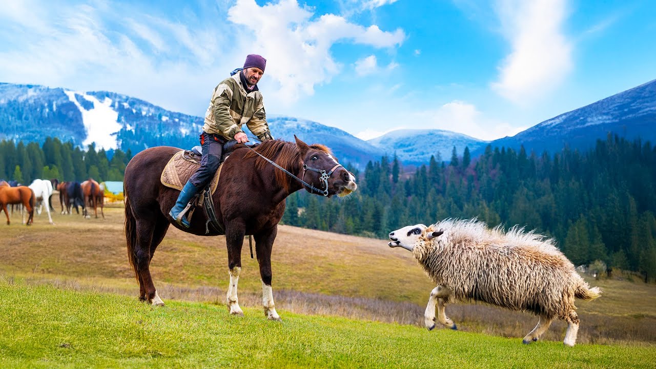 Living Wild in the Mountains: A Free Spirit's Life - YouTube