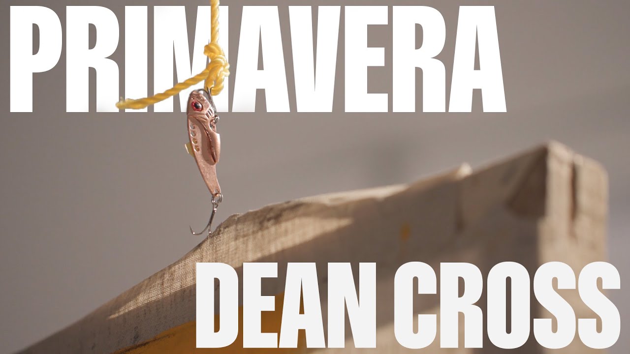 Revisiting the past to generate new meaning: Dean Cross | Primavera 21 ...