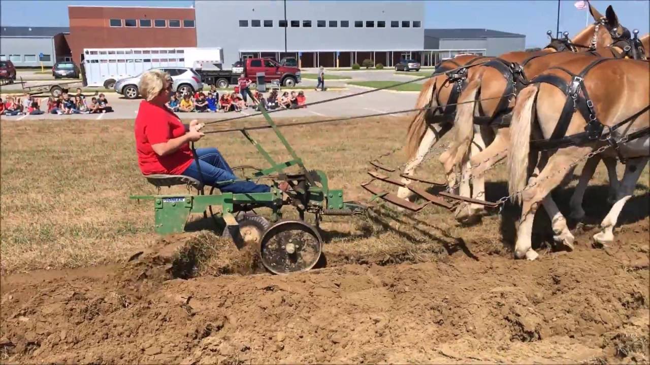 Mule Skinners at CCMS - YouTube