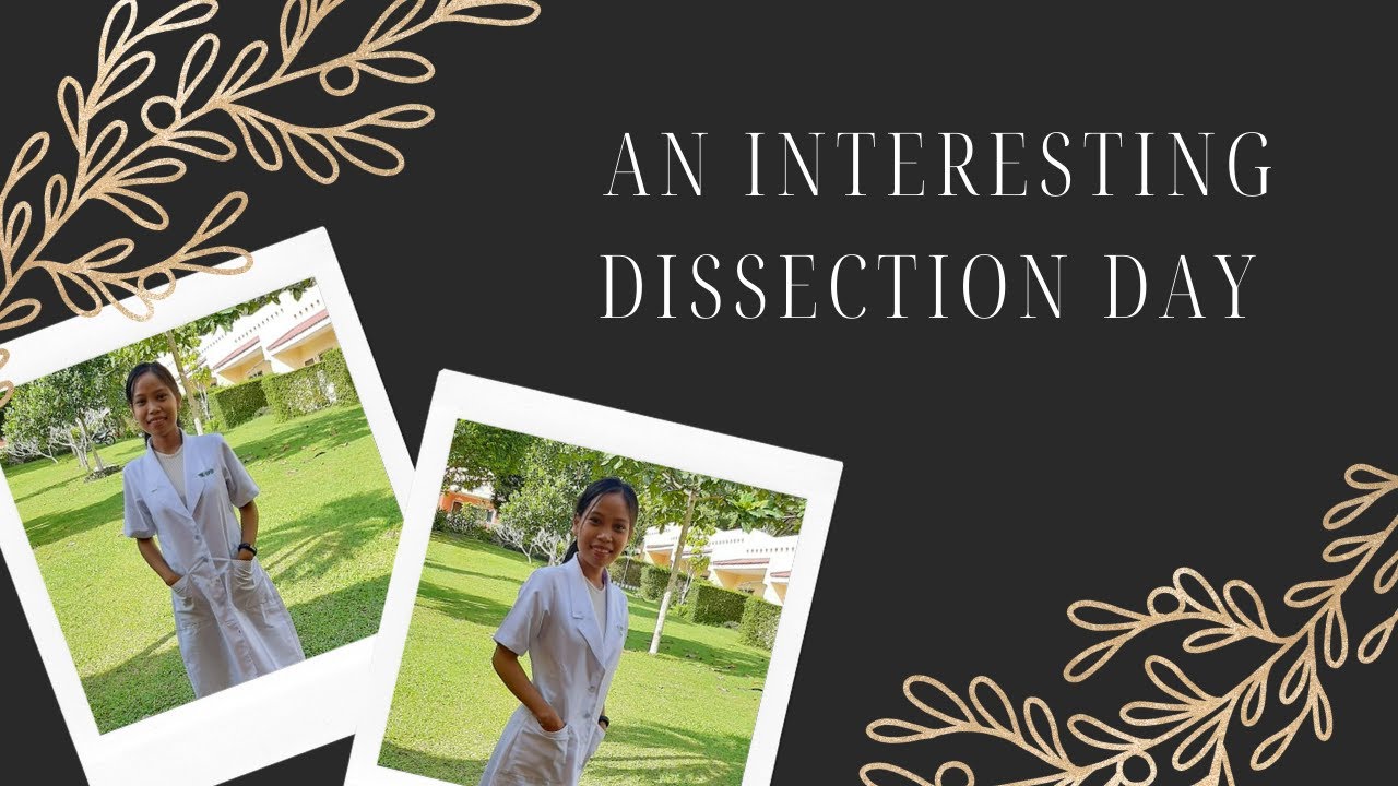 DISSECTION DAY - YouTube