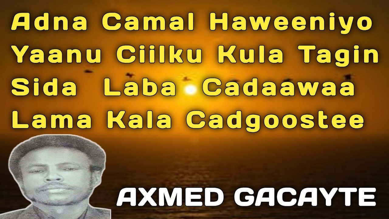 gacayte | axmed gacayte sida laba cadaawaa | gacayte lama kala ...