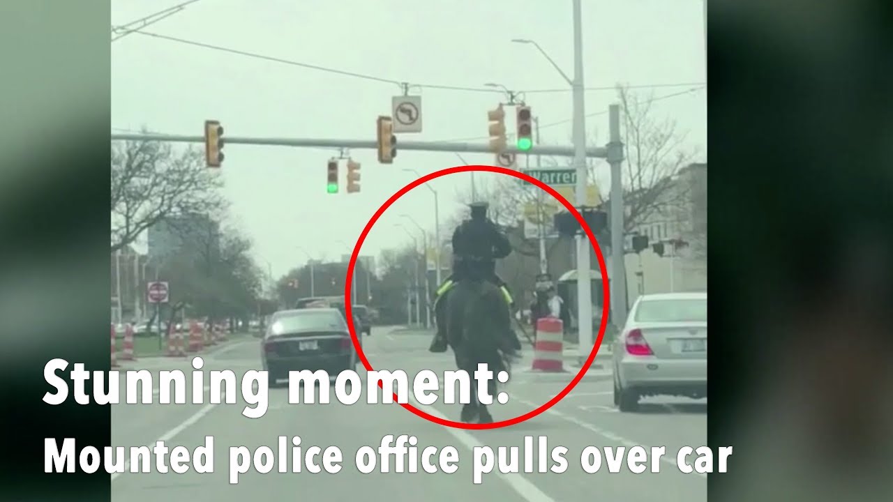 Stunning moment: Mounted police office pulls over car - YouTube