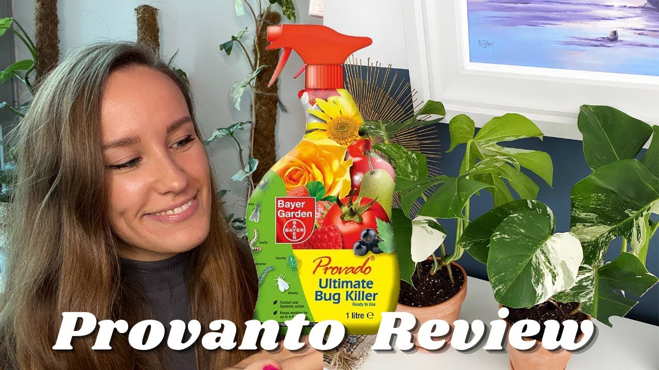 Provanto Review | Thrips, Spider Mites, Aphids Be GONE! - YouTube