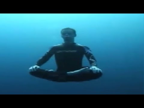Absurde Meme, die ich im Meer gefunden habe