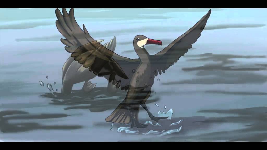 Marine Life Vertebrates with Ocean First Education - YouTube