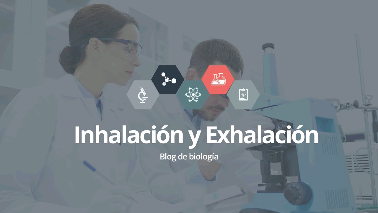 Inhalación y Exhalación - YouTube