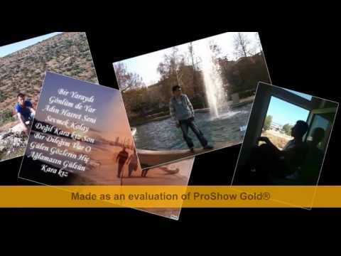 27 aslan (tam 3 senemi verdim ben)