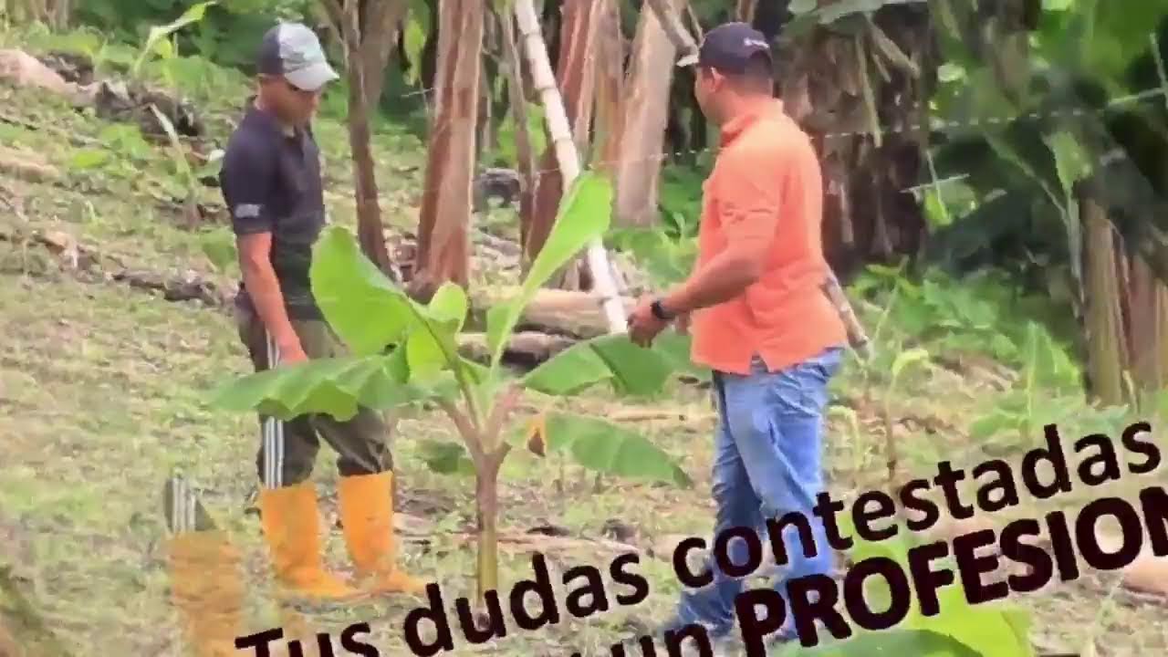 Emisión en directo de Eslabon Del Agro AGRESAGRO. S.A. - YouTube