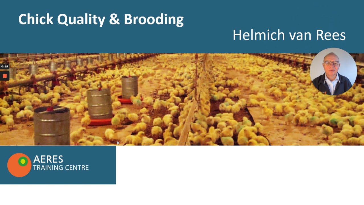 PoultryTechBangladesh - Online Master farmer training 02 - Chick ...