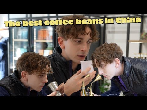 My favorite coffee shop in Shanghai! || Discovering Chinese Coffee ...