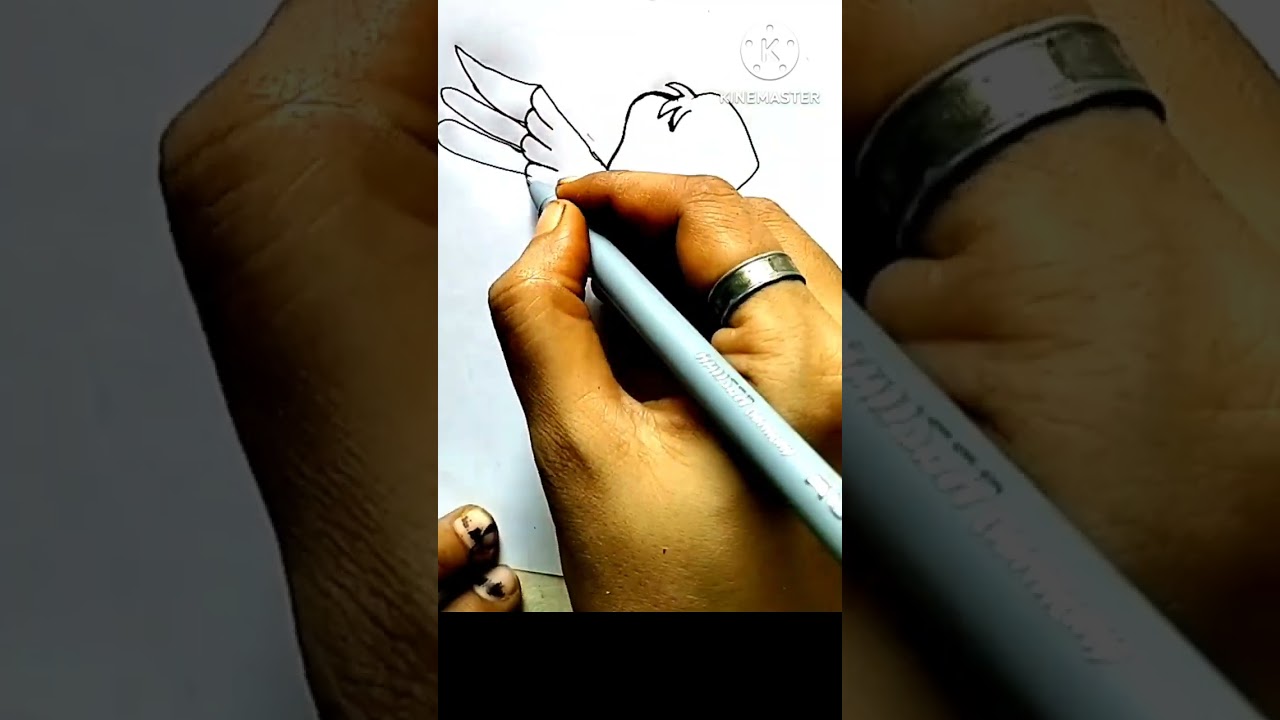 Passorishortspencildrawingviralbird Youtube