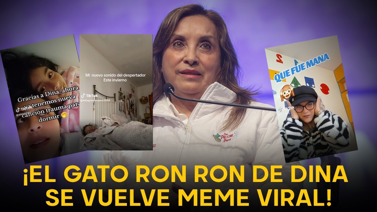 MEME VIRAL | "El Gato Ron Ron" de Dina Boluarte genera traumas en usuarios de Tik Tok - YouTube