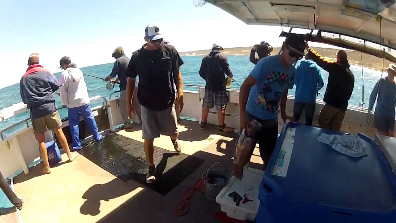Reef Walker Kalbarri - YouTube