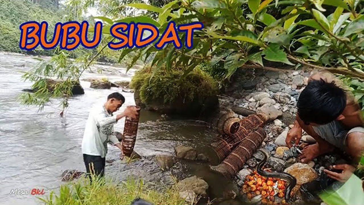 Bubu Ikan Sidat | Fishing Adventure - YouTube