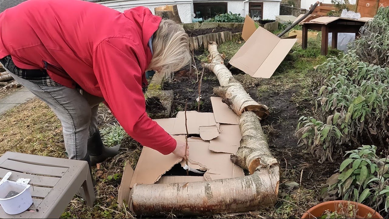 #272 Making a no dig raspberry bed - YouTube