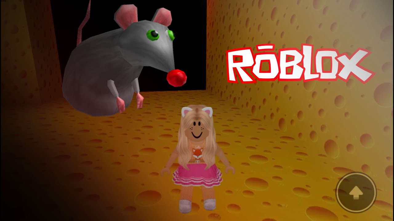 O RATO QUER ME PEGAR - Roblox Rat Maze Survive & Escape - YouTube