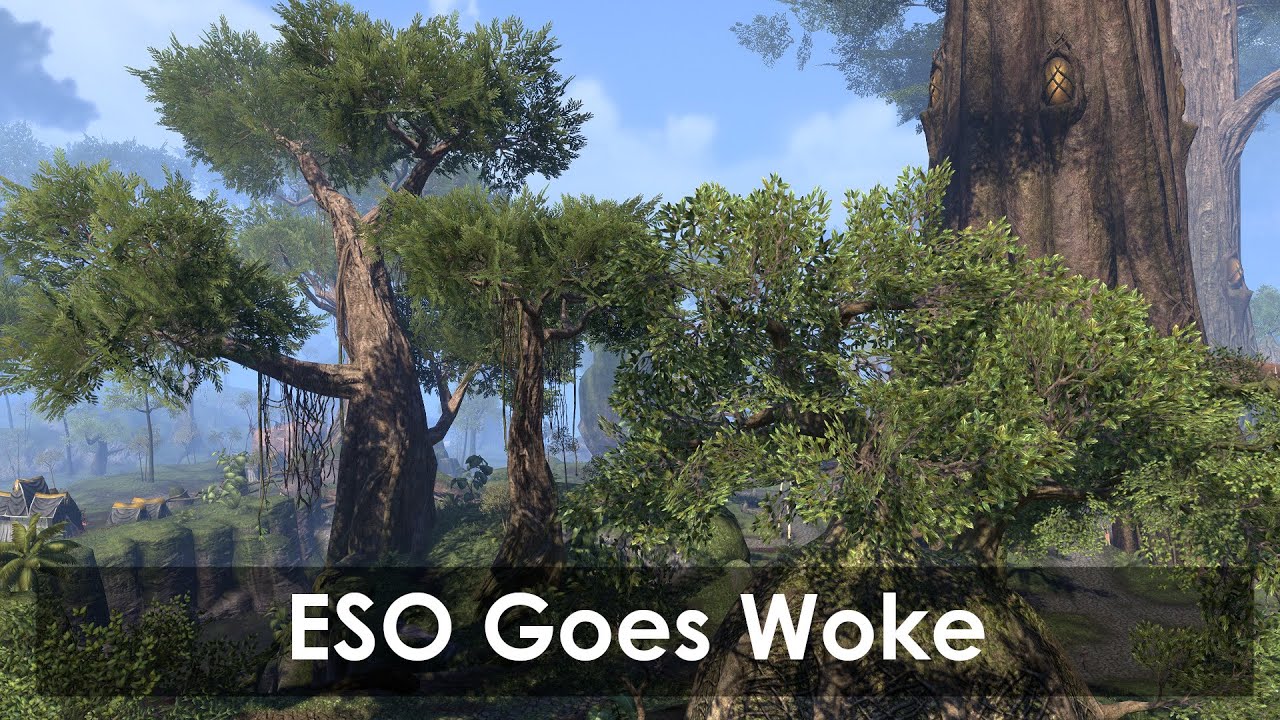 ESO Goes Woke... with a Non-Binary Elf? - YouTube