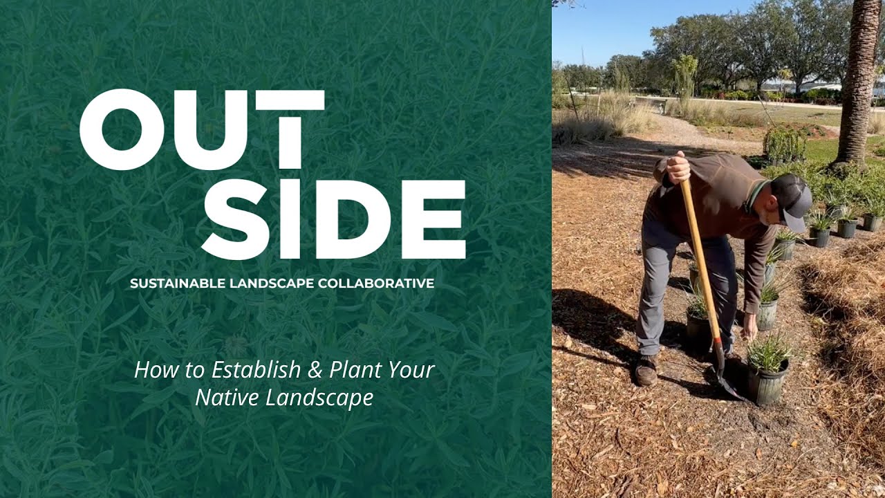 How to Establish & Plant Your Native Landscape - Sunbridge Garden Series - OUTSIDE Collab - YouTube