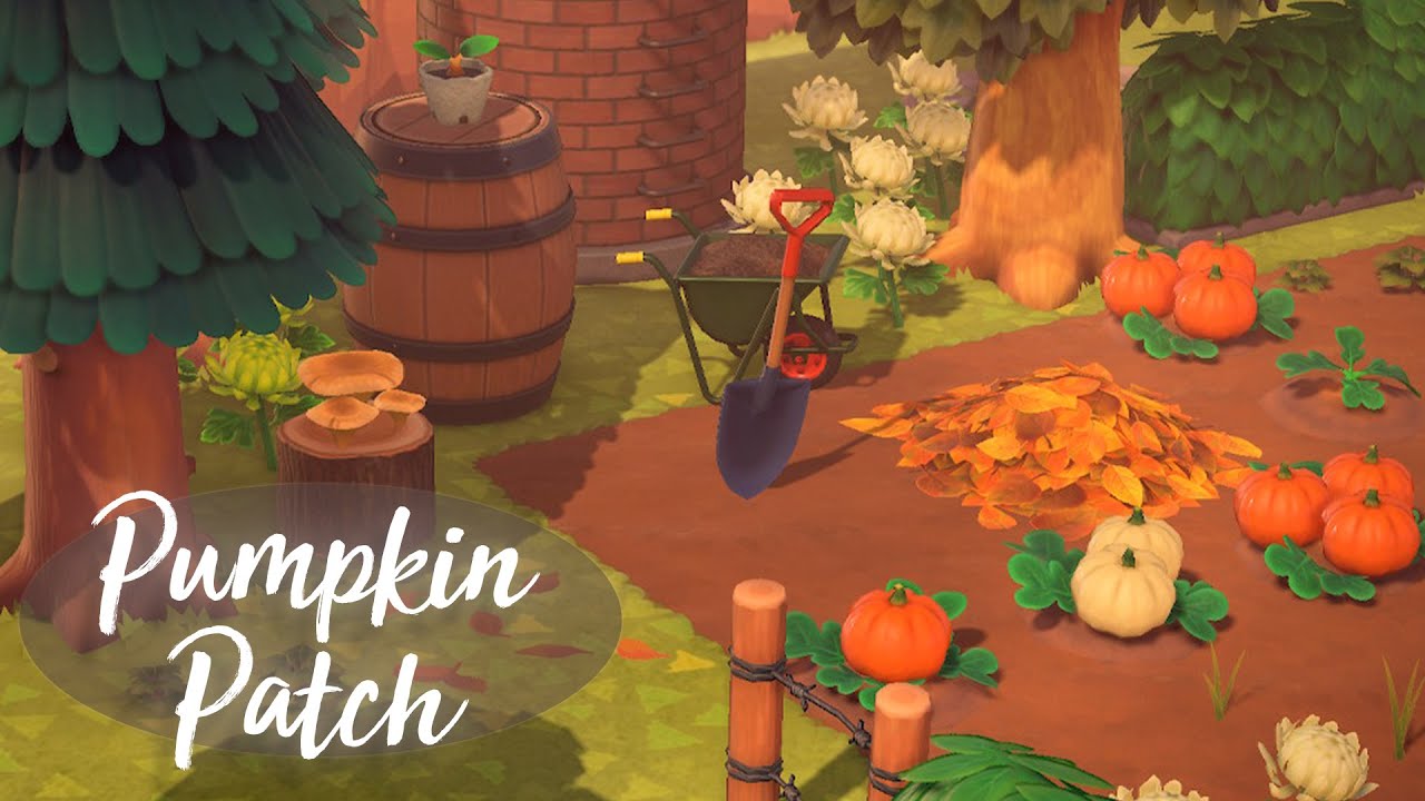 Pumpkin Patch Speed Build | Prepping for the Animal Crossing Autumn ...