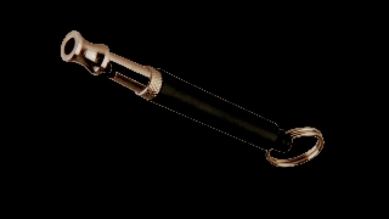AUDIABLE DOG WHISTLE 5 HOURS (15K HZ) - YouTube