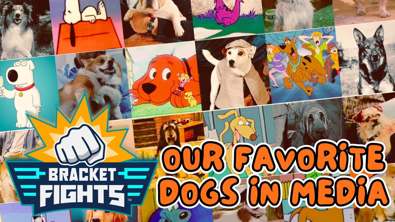 Bracket Fight! Our Favorite Dogs in Media | LiveStream Clips | Next ...