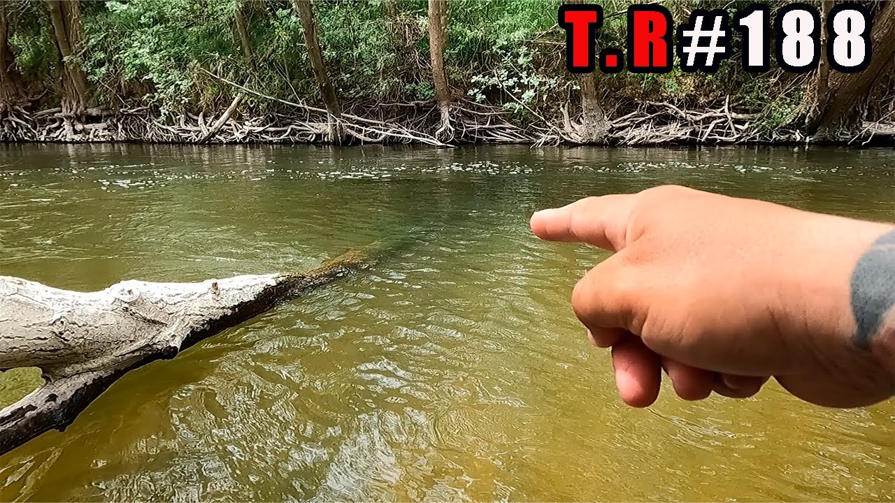 ⚠️EXPLORO un RIO NUEVO y esto es lo que pasa ¡¡¡👈 - YouTube