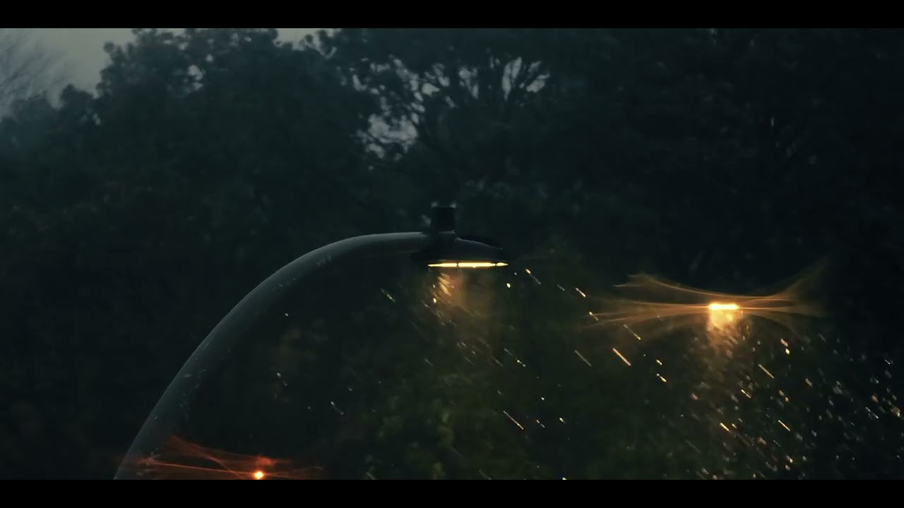 [4K] RAIN STOCK FOOTAGE 100% FREE STOCK FOOTAGE VIDEOS - YouTube