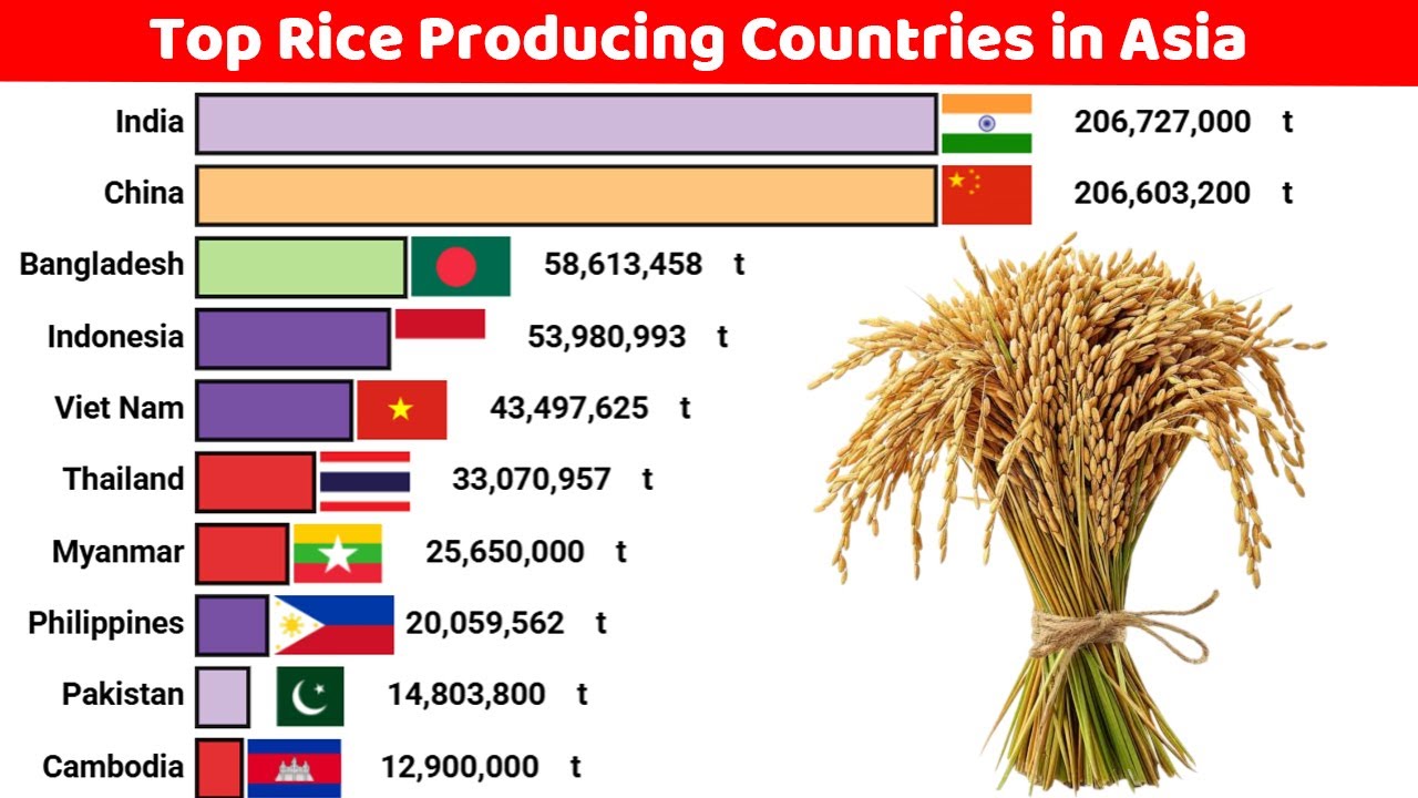 Top Rice Producing Countries in Asia - YouTube