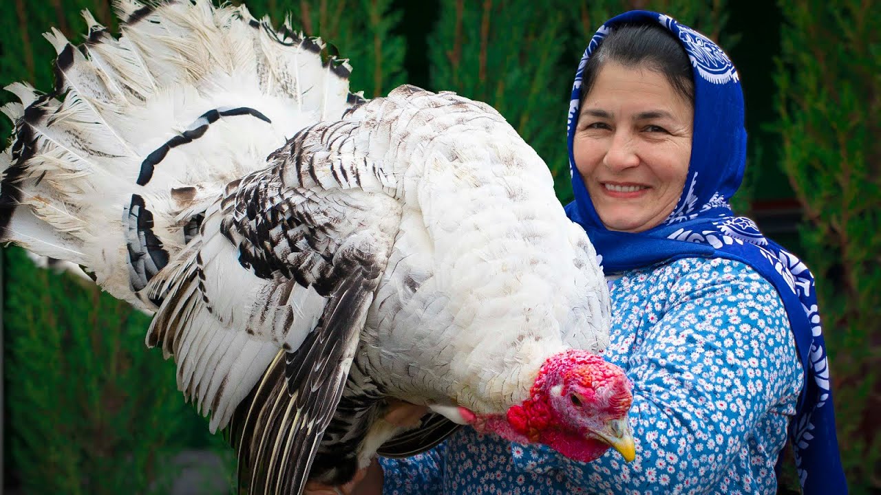 Grandma's New Year Special: The Secret to Cooking Turkey in the Tandoor ...