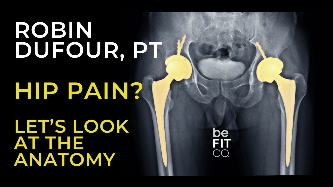 HIP PAIN? LETS LOOK AT THE ANATOMY with Robin Dufour, PT - YouTube