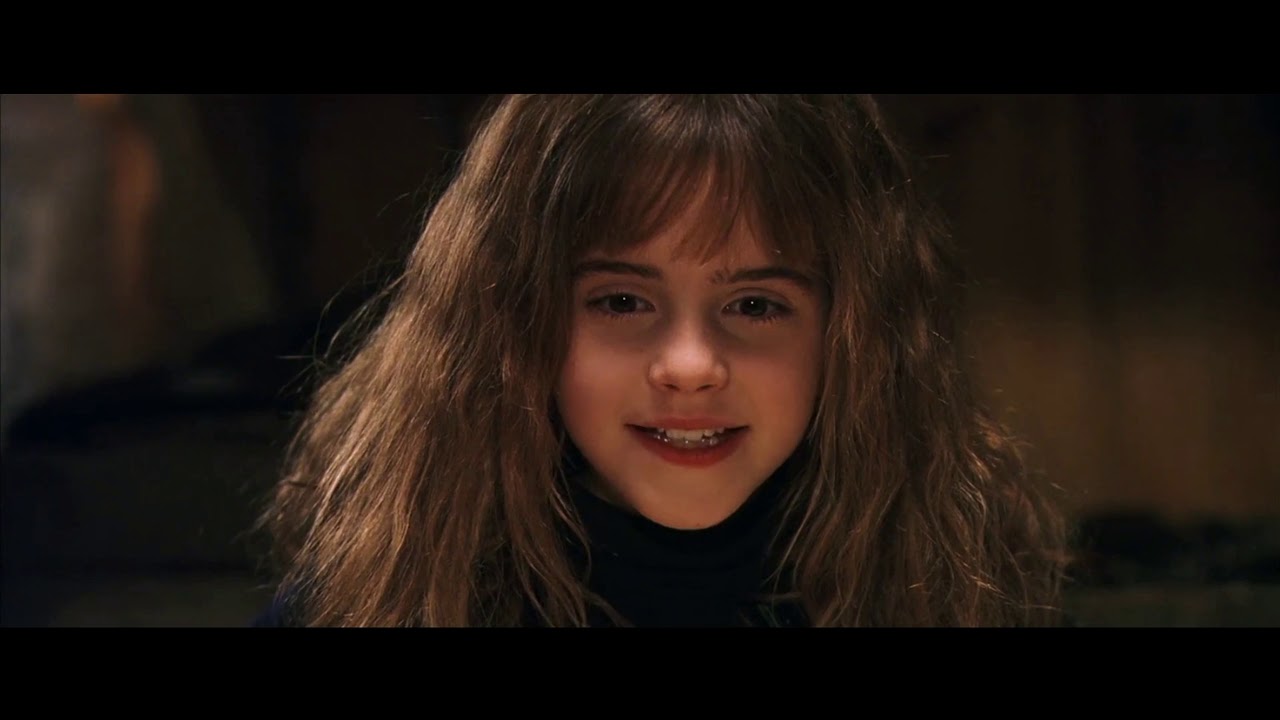 Harry Potter and the Philosopher's Stone - Dragon and Losing House ...