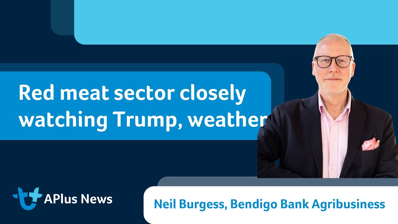 APlus News | Market update with Neil Burgess - YouTube