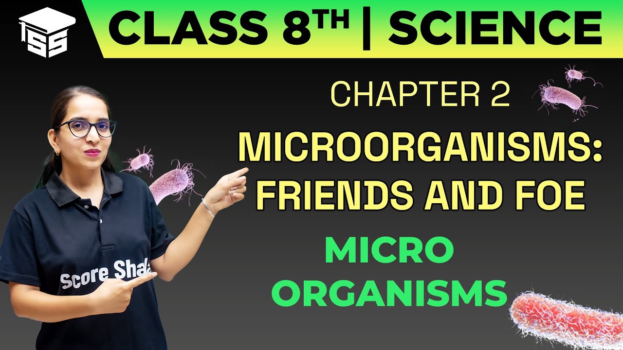 Chapter 2 Class 8 Science | Microorganisms: Friend and Foe ...