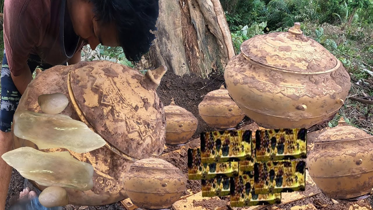 PERFECT DIGGING SPOT OF TREASURE UNDER THE CENTURY TREE #gold #treasure ...