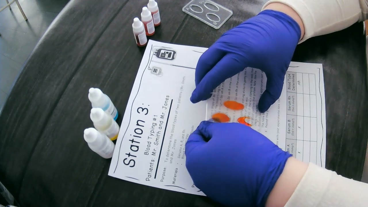 Circulatory System Blood Typing Simulation #1 - YouTube