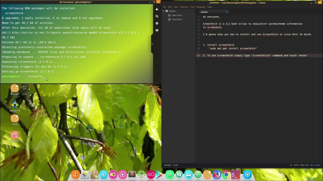 How to install Screenfetch to show System info on Linux Mint 18 Sarah ...